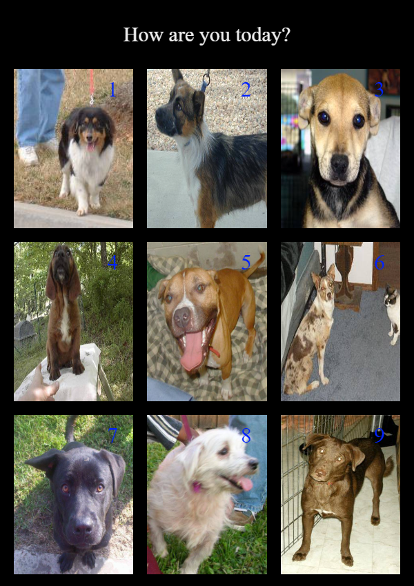 GitHub - elaverty/moodscale: a simple web app to create mood scales ...