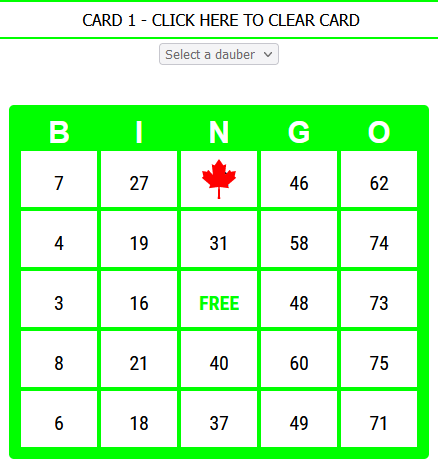 GitHub - digitalsleuth/bingo-card-generator: Interactive Bingo Card ...