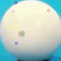 GitHub - samkorte/pool: Various computer vision scripts for pool/billiards analysis