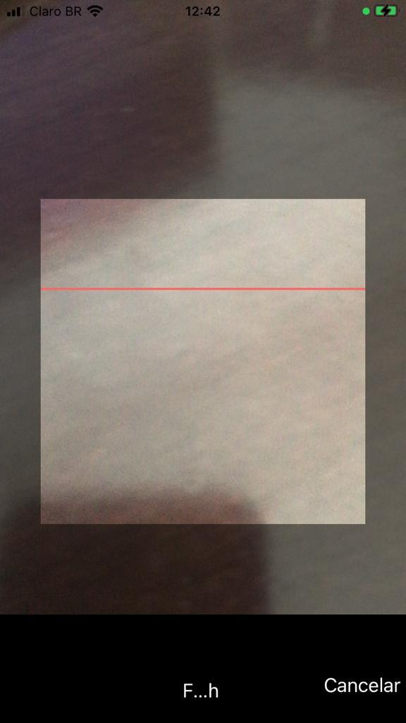 Label Flash show "F...h" · Issue #138 · AmolGangadhare/flutter_barcode_scanner · GitHub