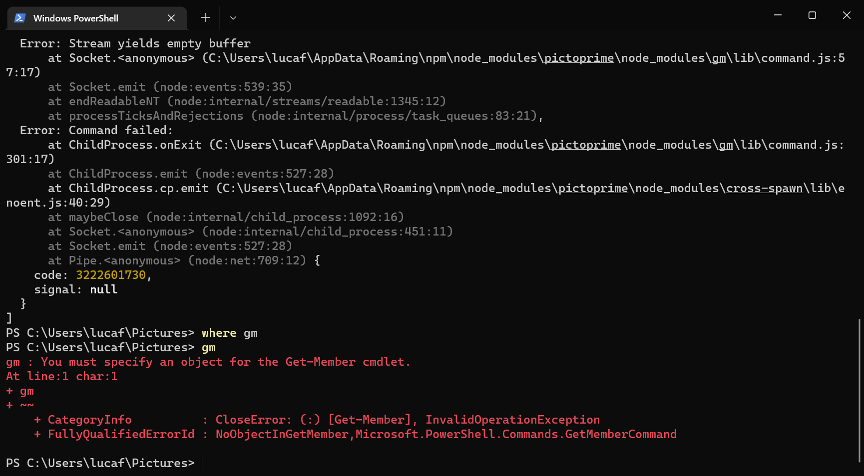 Error with pictoprime -i: Stream yields empty buffer · Issue #4 · TotalTechGeek/pictoprime · GitHub