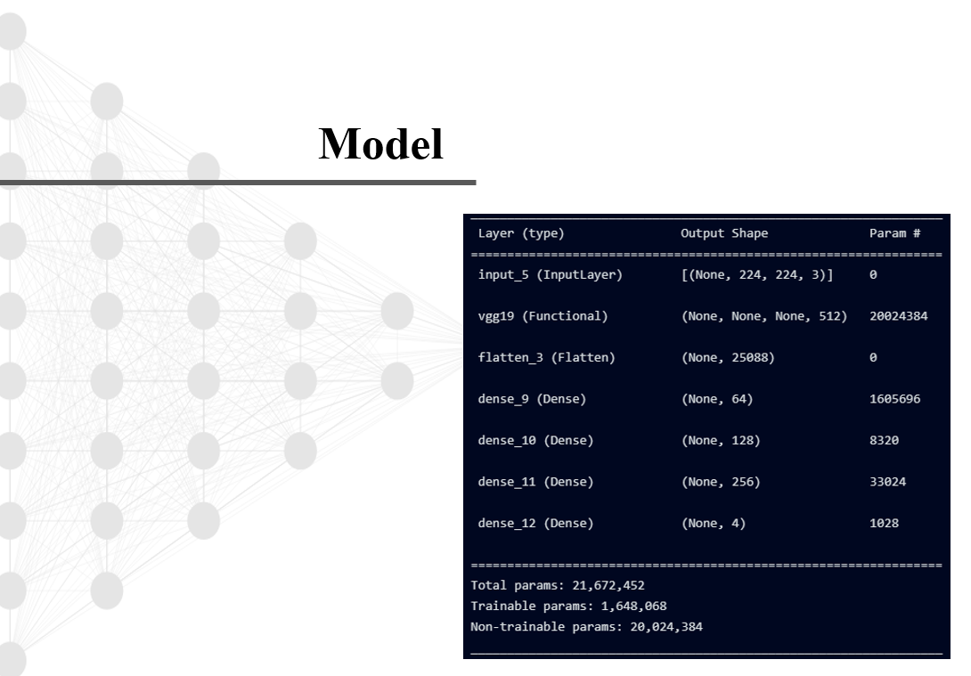 GitHub - nethaji-achha/Wild-Animal-image-Classification-vgg19: Wild life Animals Image ...
