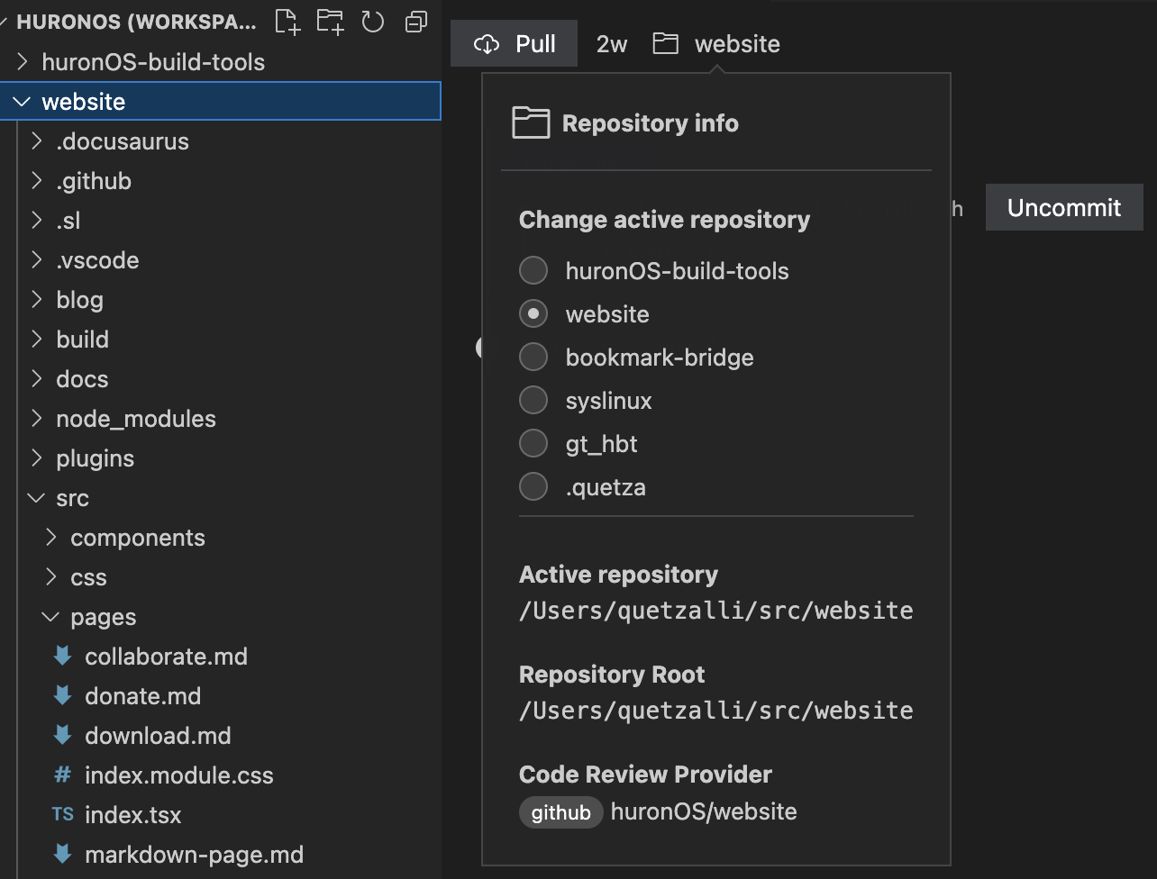 [ISL] [VSCode] Ignore non-sapling repos when on multi-root environment ...