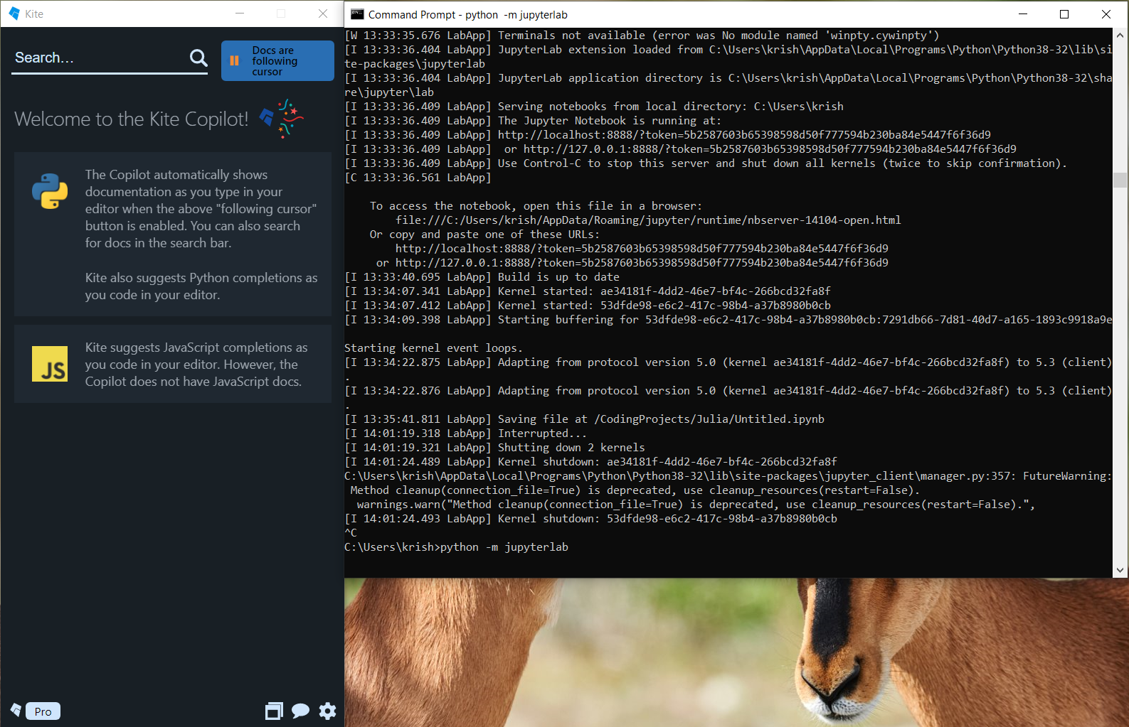Kite not showing up in Jupyterlab · Issue #302 · kiteco/issue-tracker · GitHub
