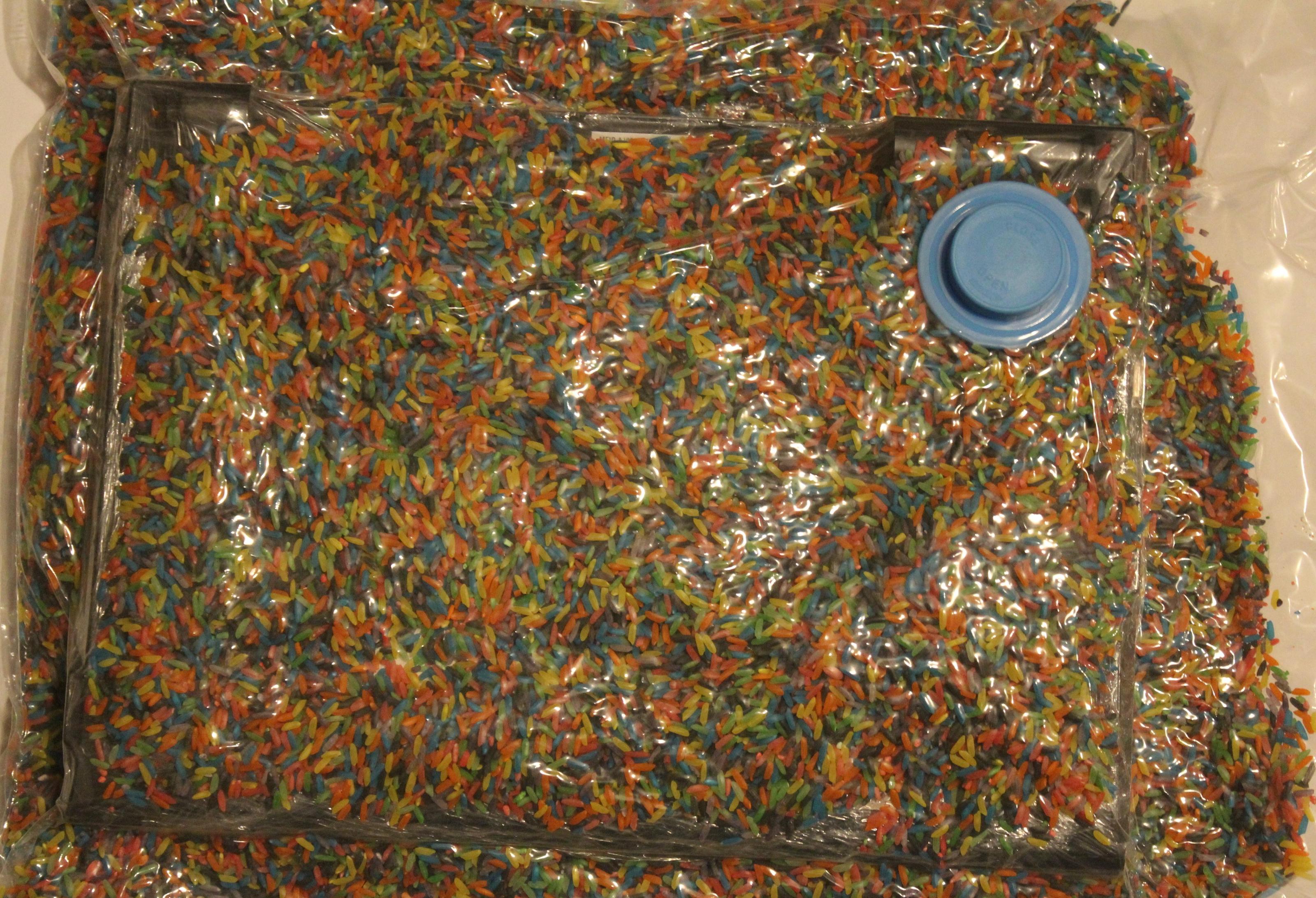 Random Mosaic – Detecting unauthorized physical access with beans, lentils and colored rice ...