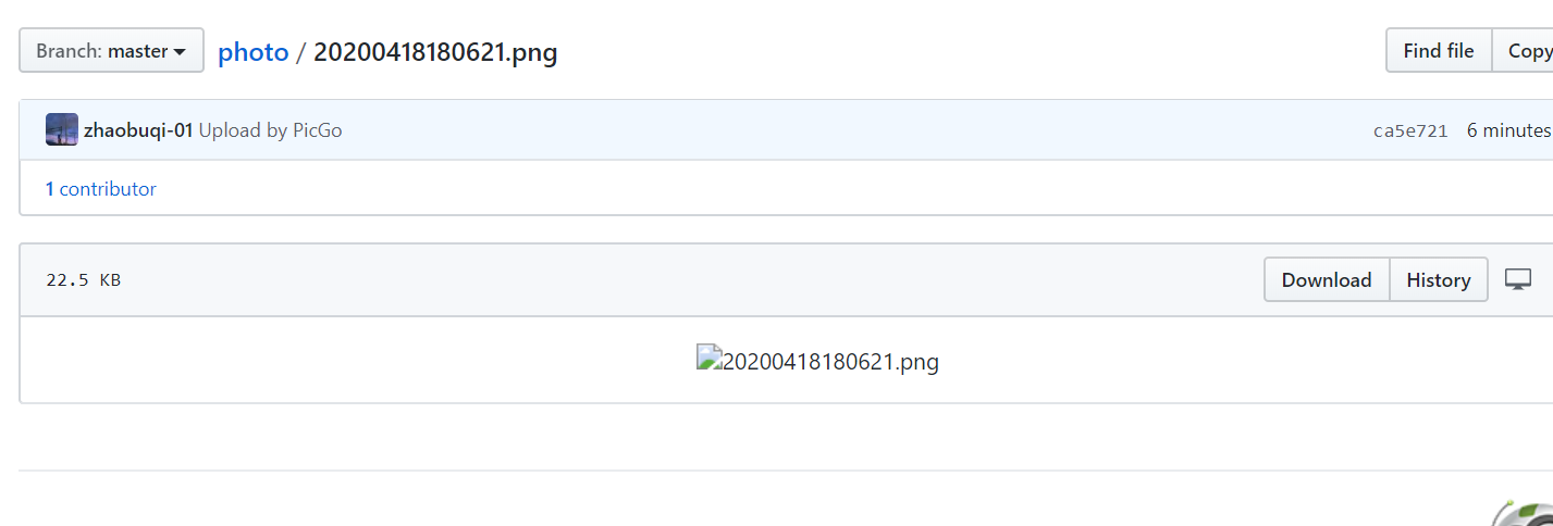 链接无效 · Issue #465 · Molunerfinn/PicGo · GitHub