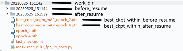 [Bug] I think there's a flaw in the save best checkpoint feature within the auto-resume training ...