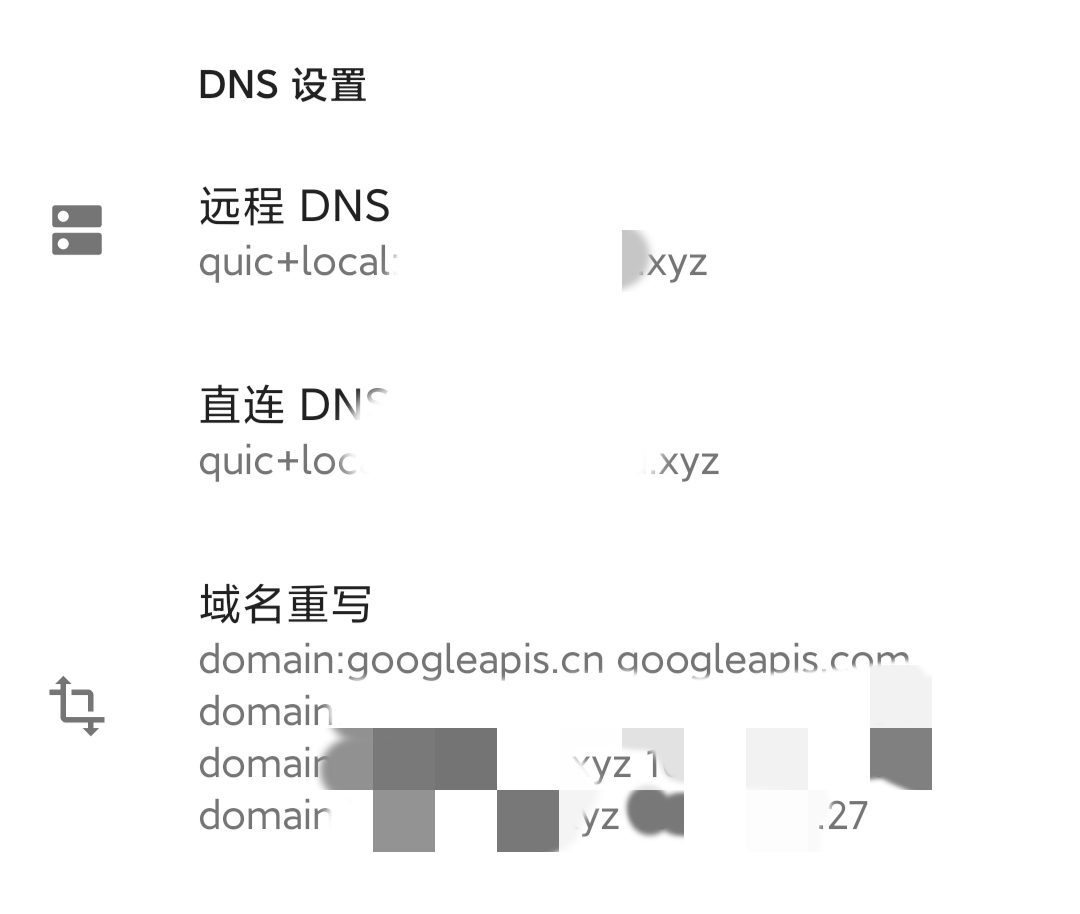 远程dns和境内dns都设置为加密dns时(域名）dns查询失败 · Issue #1288 · 2dust/v2rayNG · GitHub