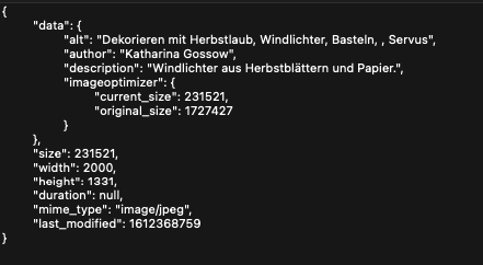 Image Metadata · Issue #6837 · statamic/cms · GitHub