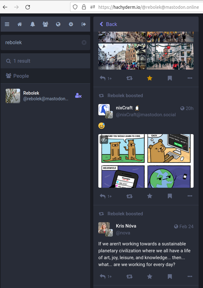 Cannot find posts by #hashtag and a timeline viewed via Hachyderm differs from the OG timeline ...