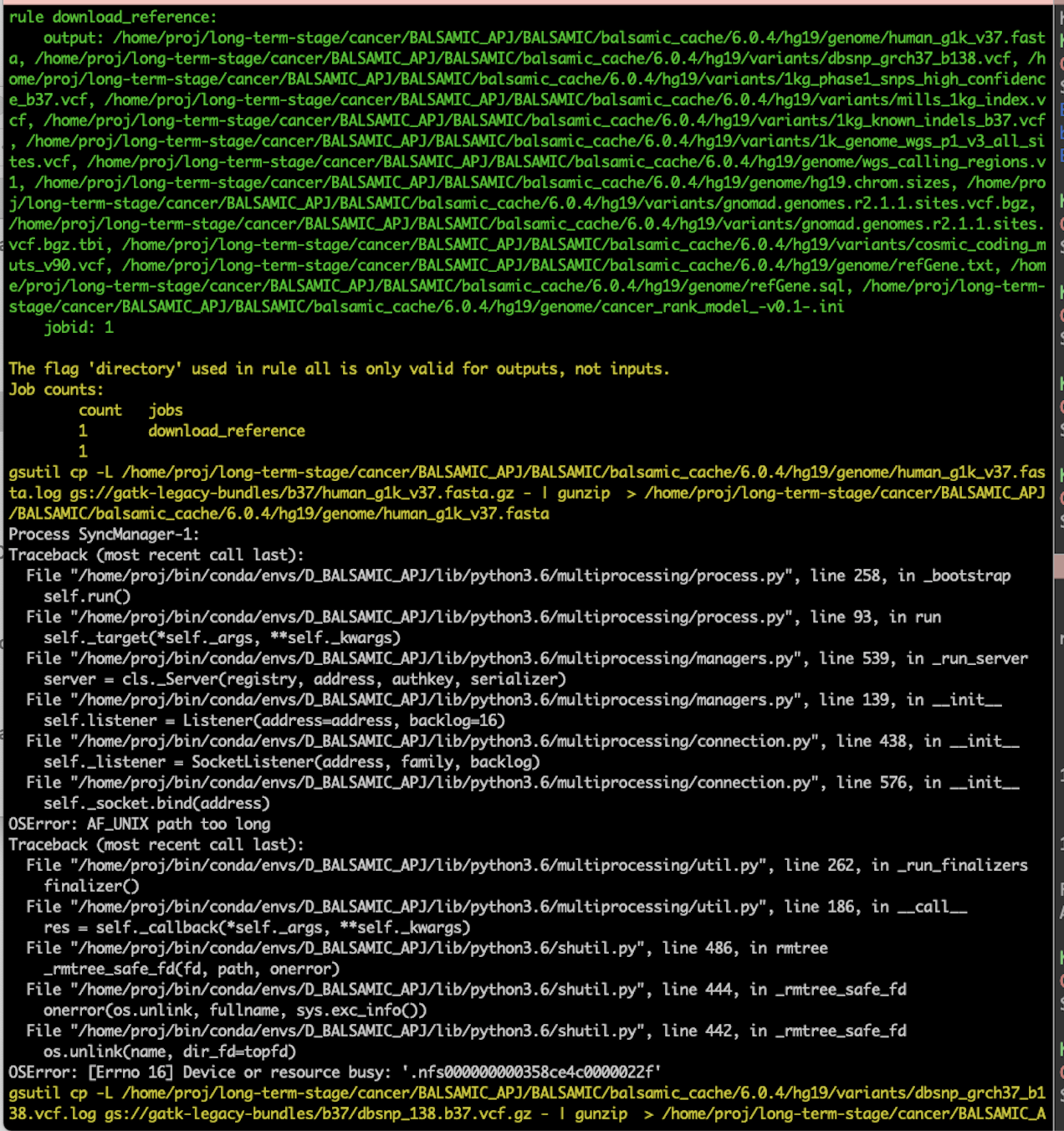Failed Analysis Oserror Afunix Path Too Long · Issue 541