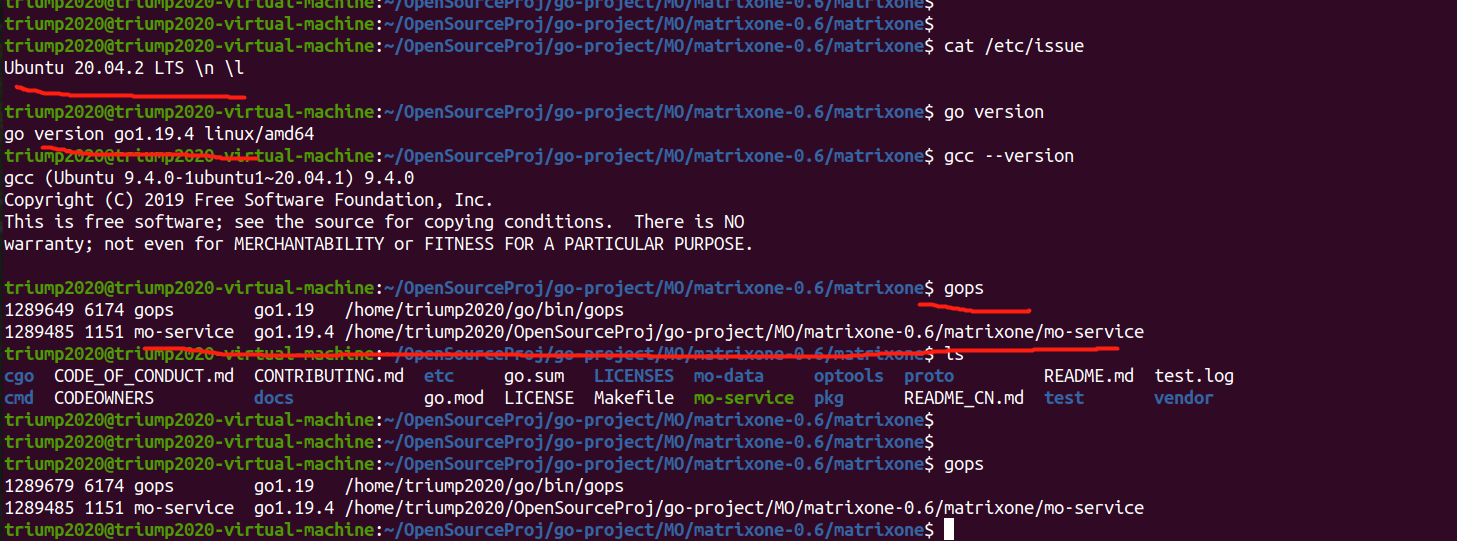 [Question]: How to fix "PANIC dragonboat" when start mo-service? · Issue #9167 · matrixorigin ...