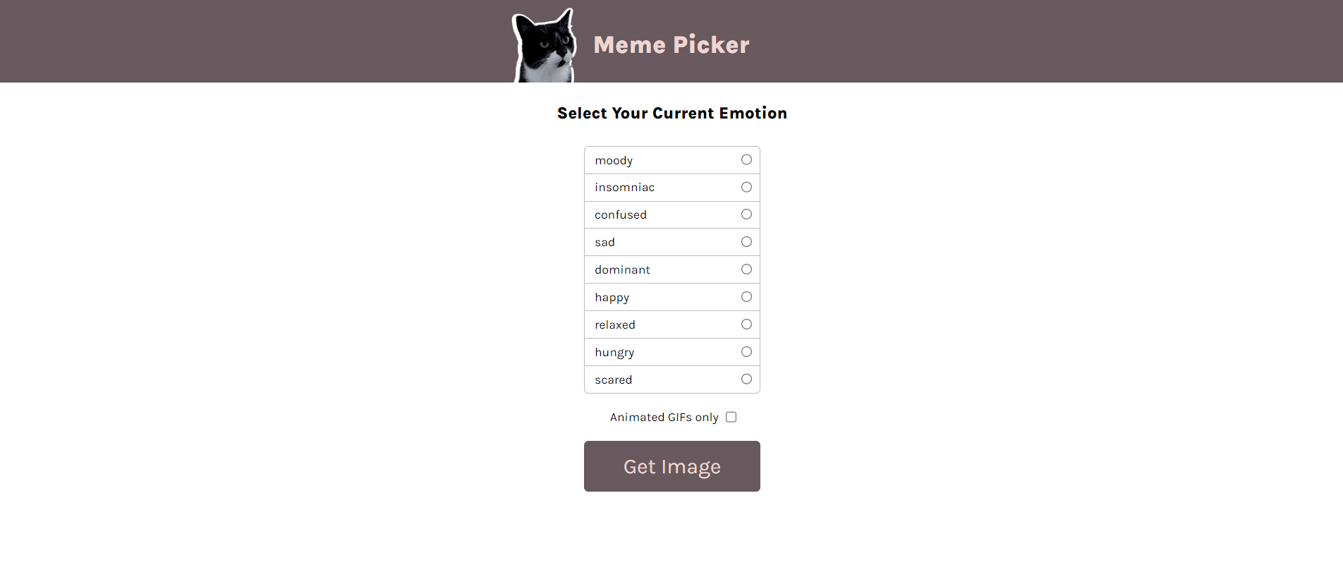 GitHub - sebnemgormus/meme-picker-with-js