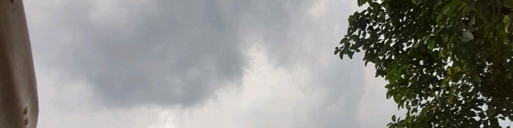 Dank-del (Sayan Biswas) · GitHub