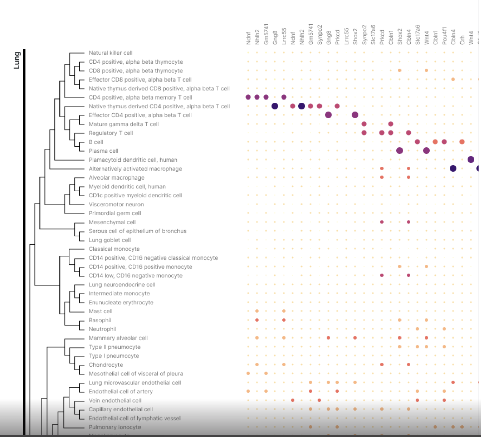 Support for Dendrogram Diagram · Issue #13274 · apache/echarts · GitHub