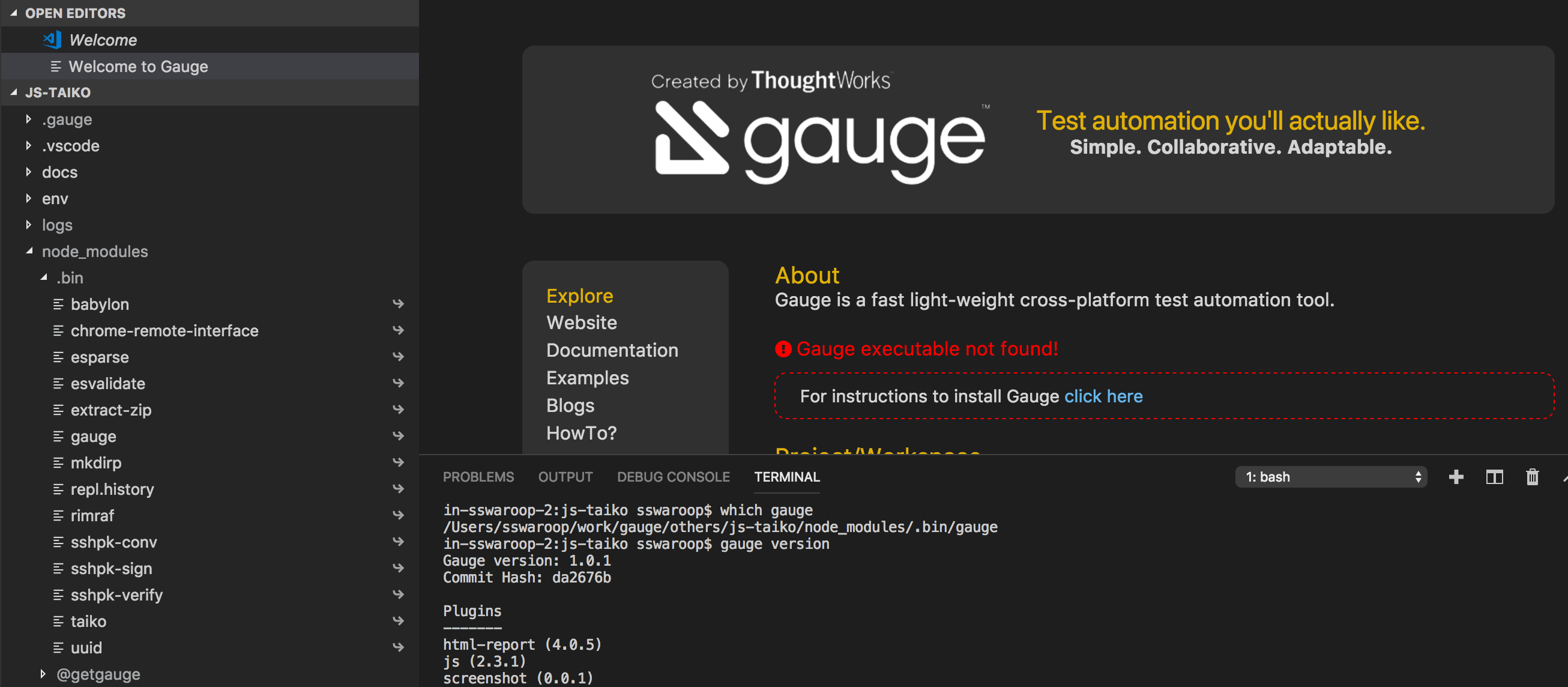Should recognize a gauge installation locally installed using npm ...