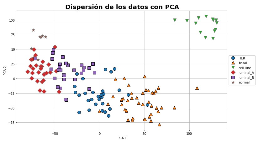 Github Davidmartinez16breast Cancer Microarray This Is A Machine Learning Project Which Uses 