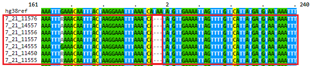 FastaAlternateReferenceMaker and Multi-sample VCF File Input · Issue ...