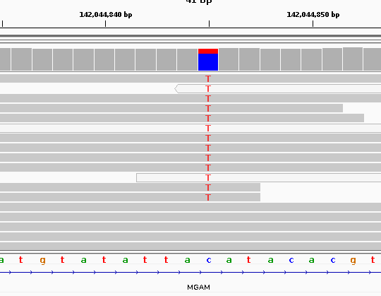 Sort Alignments By Base Works Intermittently · Issue #1098 · igvteam/igv · GitHub