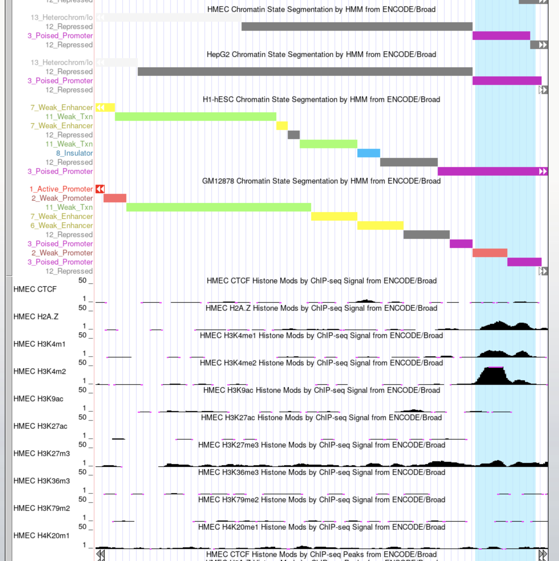 GitHub - LadyPython/hse23_hw3_chromhmm