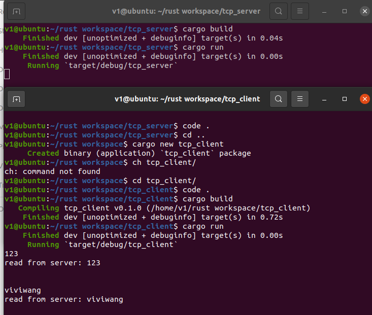 GitHub - vivi1211/homework: homework for rust