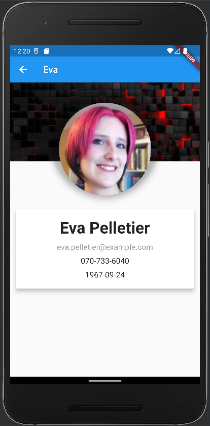 GitHub - FatimaZahraHASBI/FlutterApp-Users-from-API: Get users list from API