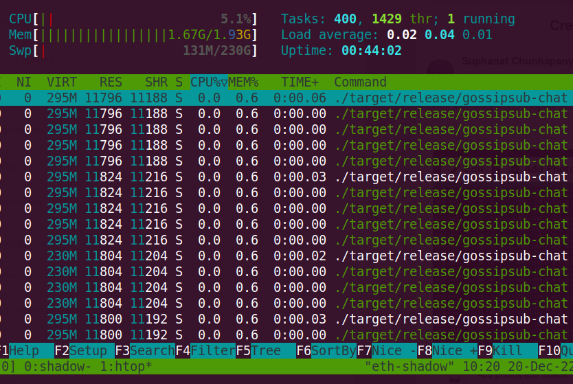 Simulating thousands of nodes · shadow shadow · Discussion #2622 · GitHub
