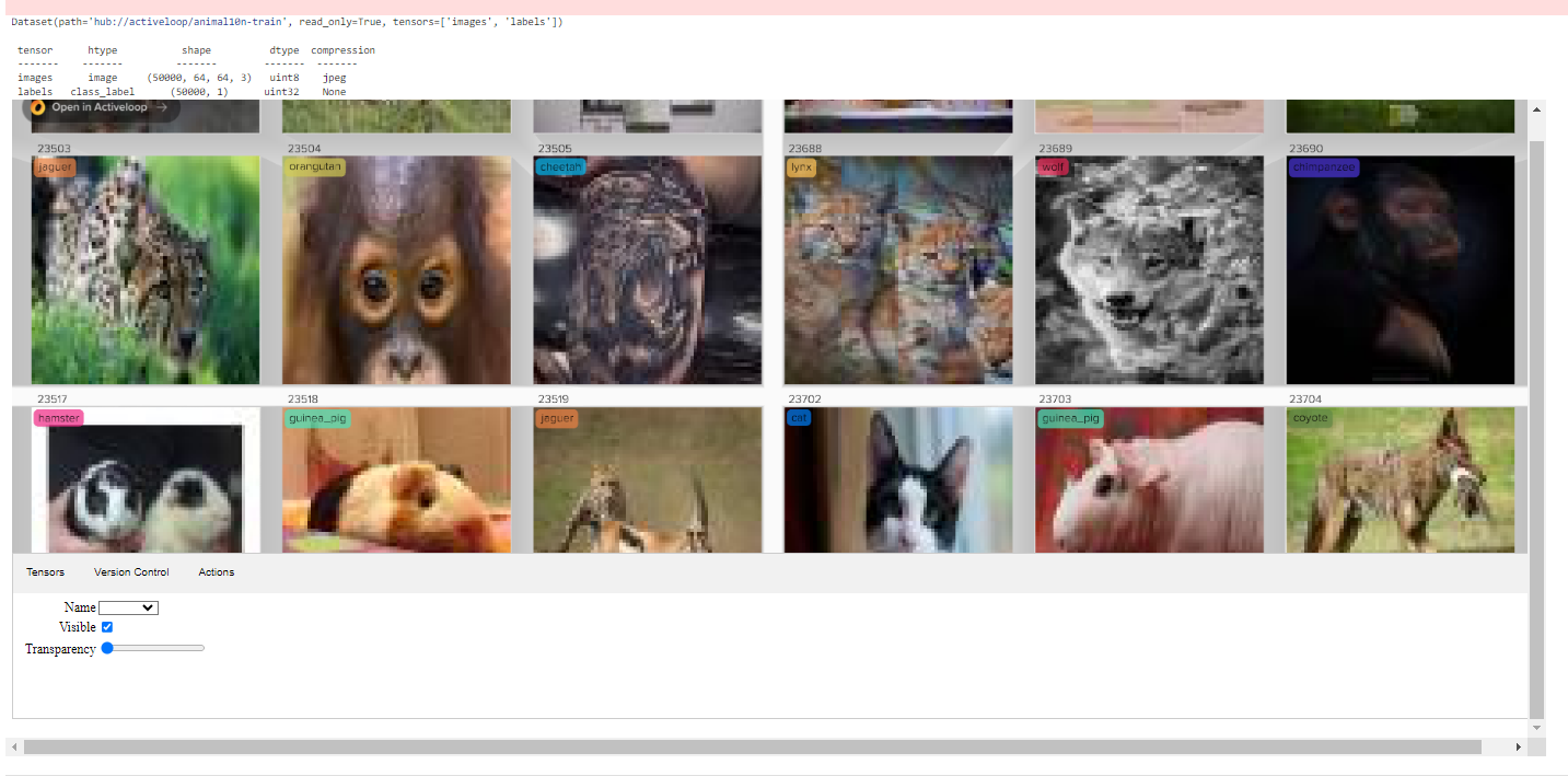 [BUG] ds.visualize not working in jupyter notebook for local dataset · Issue #2622 ...