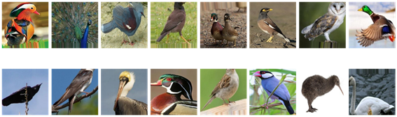 GitHub - charulcodes/birdnetmodel