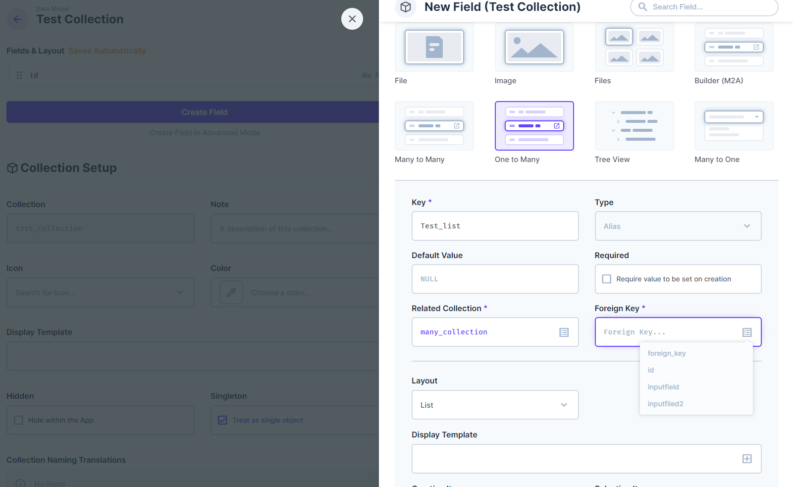 When creating O2M the foreign key selector field options are greyed out · Issue #16692 ...