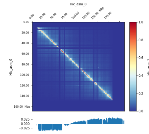 Chromosome length problem · Issue #484 · deeptools/HiCExplorer · GitHub