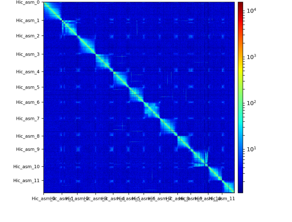 Chromosome length problem · Issue #484 · deeptools/HiCExplorer · GitHub