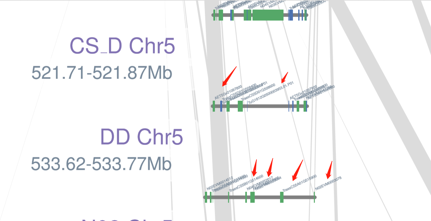 How to highlight one gene in Microsynteny？ · Issue #271 · tanghaibao ...