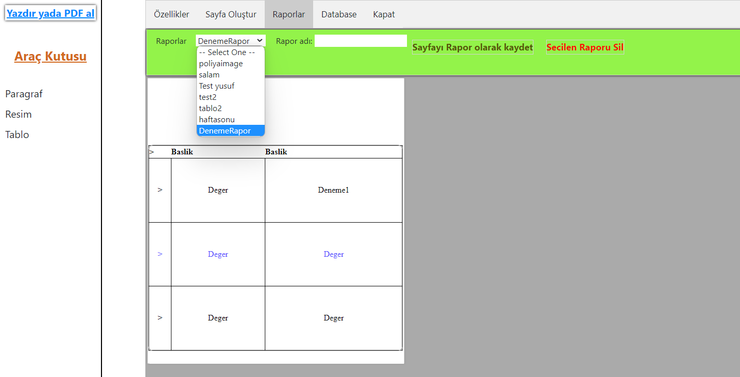 GitHub - bayirgulu/InteraktifDokumanOlusturma