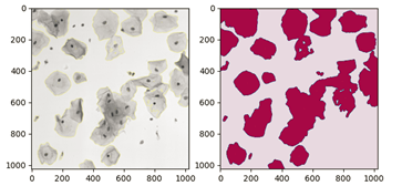 GitHub - paty237/cells-and-nucleus-segmentation-: projet d'imagerie ...