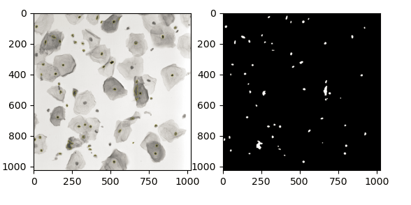 GitHub - paty237/cells-and-nucleus-segmentation-: projet d'imagerie ...