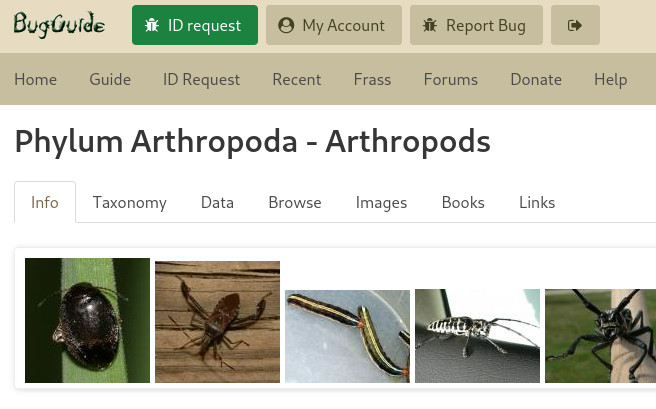 Breadcrumbs are missing on node 3 (the root node) pages · Issue #241 · bugguide/bugguide · GitHub