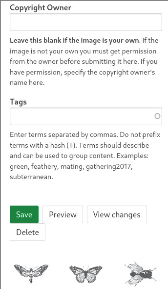 Handle stacked edit-action buttons on the image submission form · Issue #289 · bugguide/bugguide ...