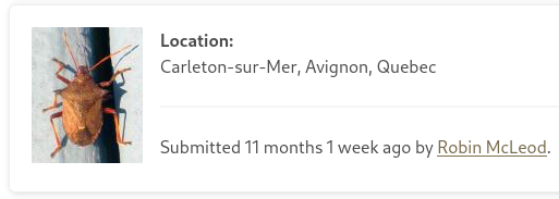 Update bgimage teaser view · Issue #373 · bugguide/bugguide · GitHub