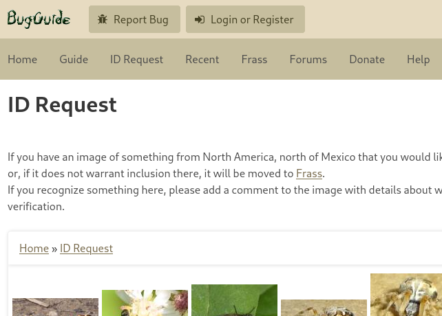 Breadcrumb on id-request points to the wrong page · Issue #390 · bugguide/bugguide · GitHub