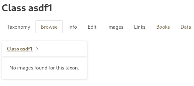 Info page with no images shows an empty box · Issue #407 · bugguide/bugguide · GitHub