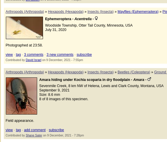 Migrated bgpages are not marked as promoted · Issue #435 · bugguide/bugguide · GitHub