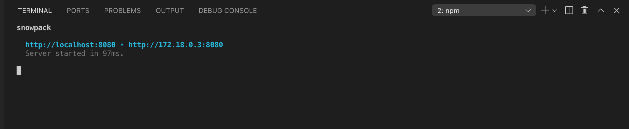 Frigate Web UI Fails To Start on Dev Container · Issue #1076 · blakeblackshear/frigate · GitHub