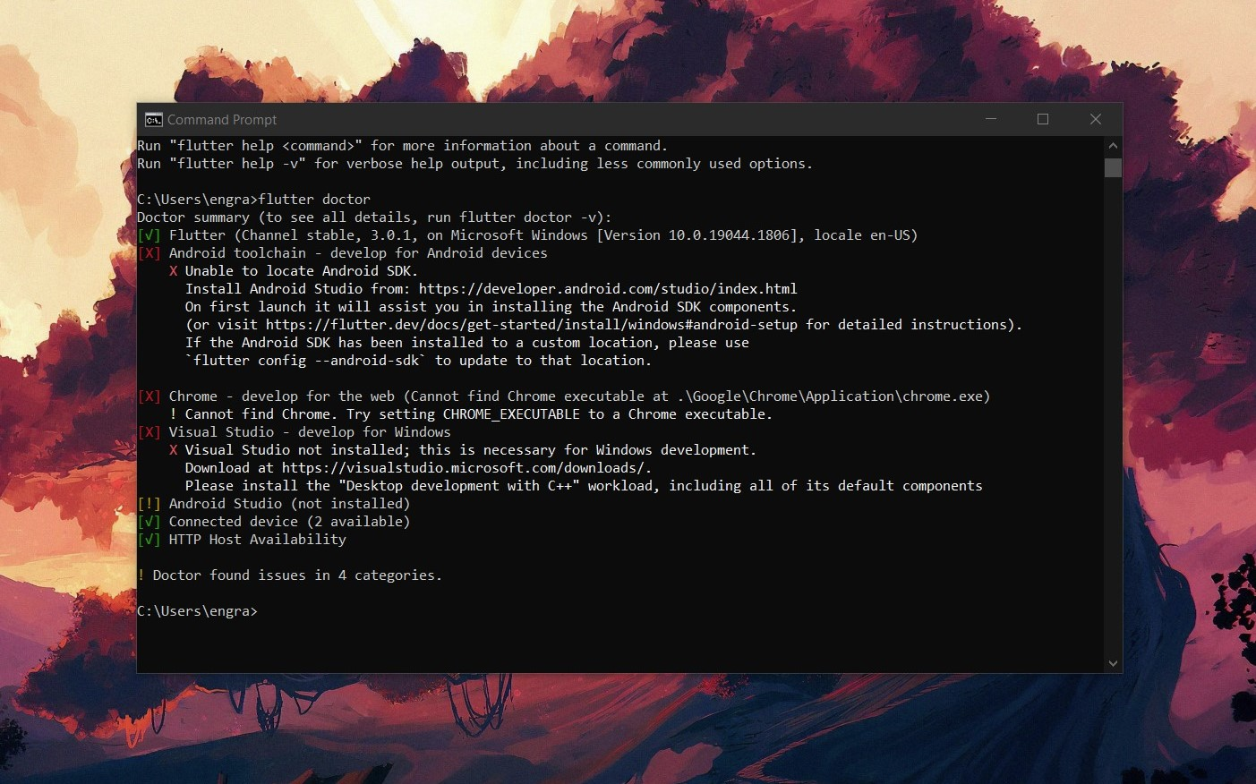 Add a "maestro doctor" command line which does basic checks if the app is ready to run · Issue ...