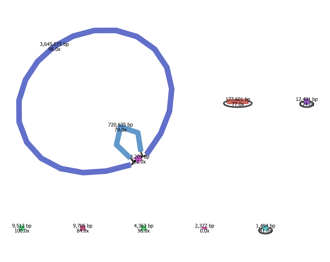 Issues with final assembly contig numbering and final assembly graph ...