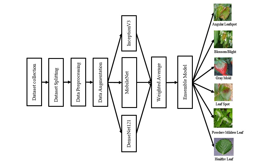 GitHub - gslprasanna/Prediction-of-Strawberry-Plant-Diseases-using-Deep ...