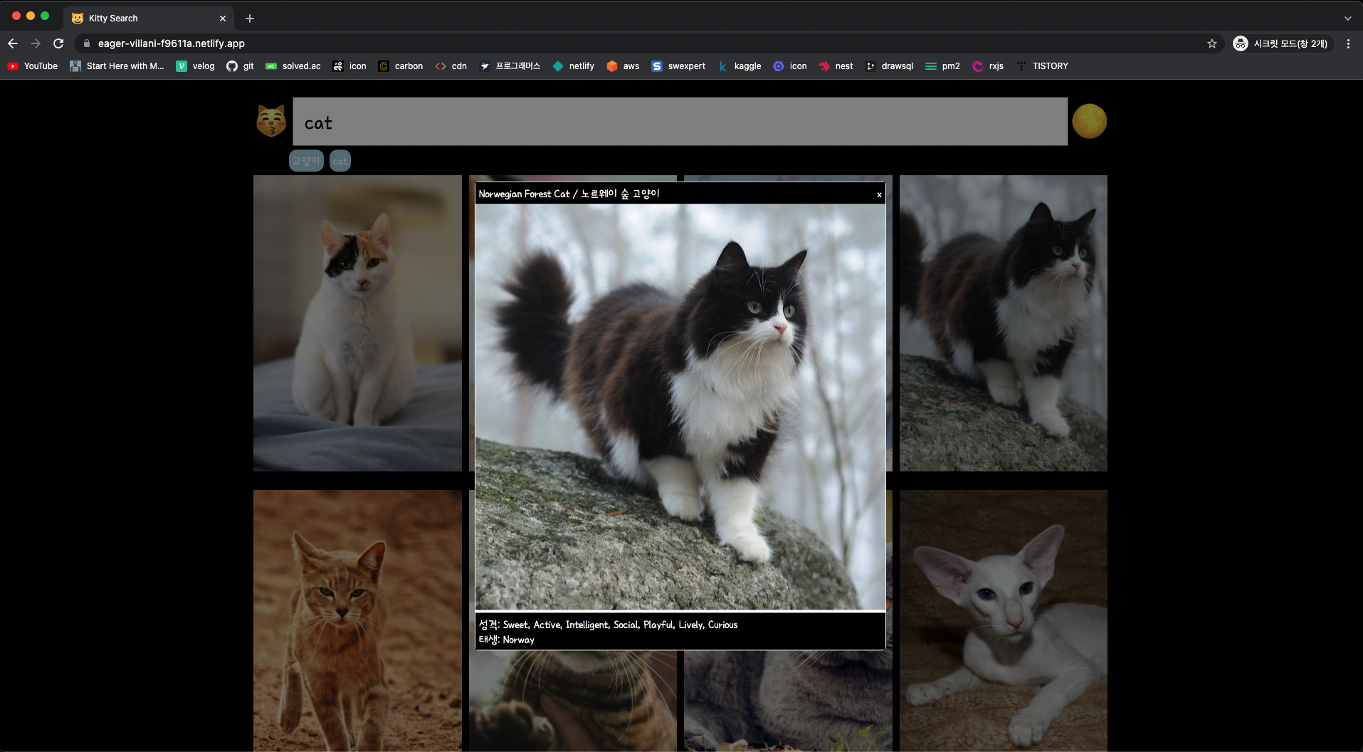 GitHub - hyunjinee/kitty-search: 프로그래머스 Frontend Dev Matching - 고양이 사진 검색 사이트