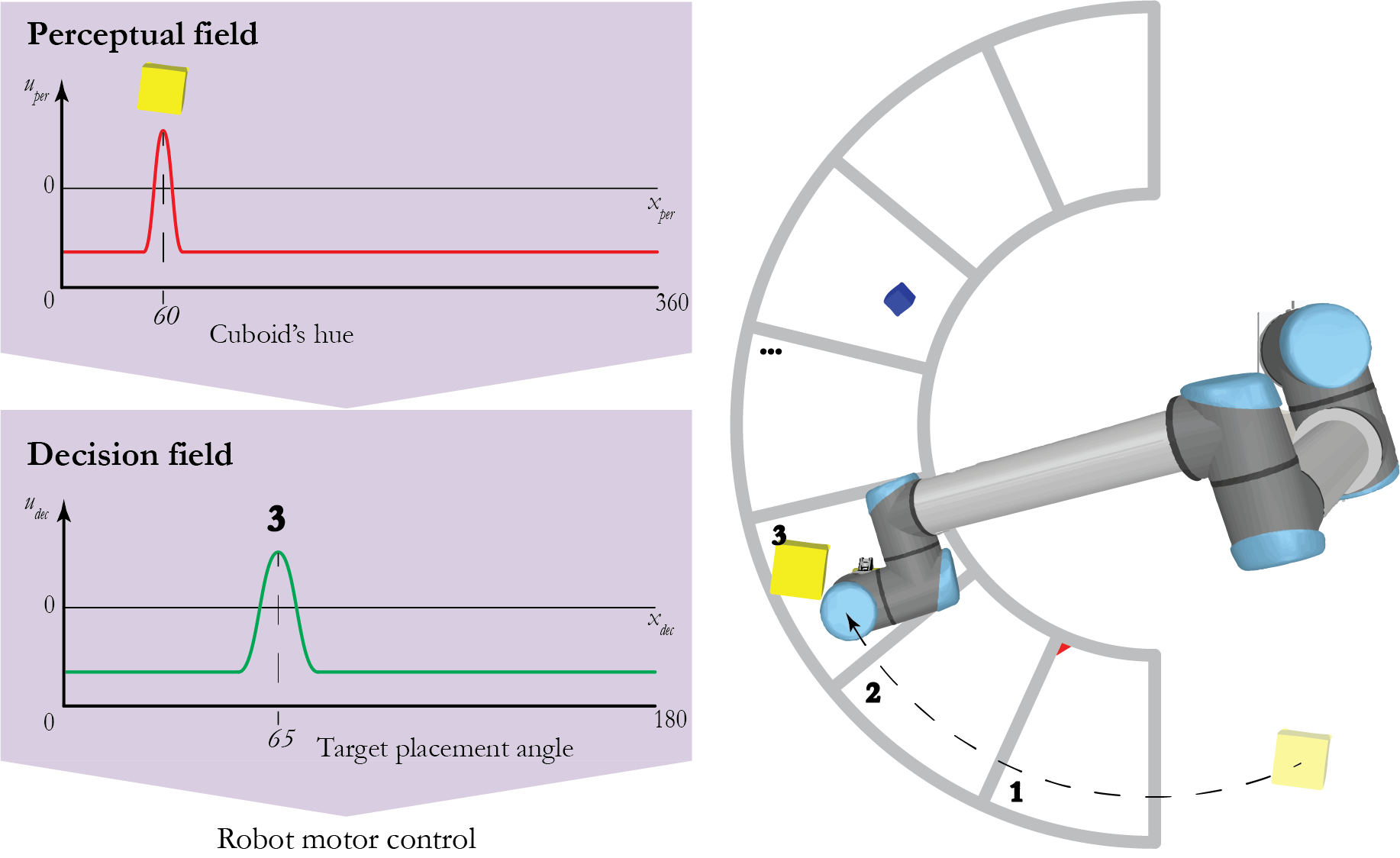 GitHub - Jgocunha/dynamic-neural-field-degeneration: Experiment on dynamic neural field ...