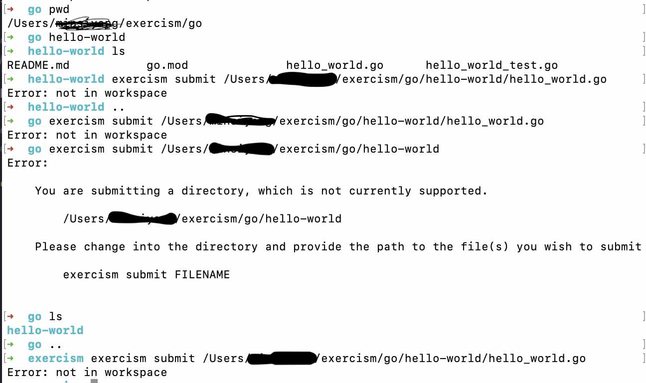 Couldn't submit the solution for Go. · Issue #5478 · exercism/exercism · GitHub